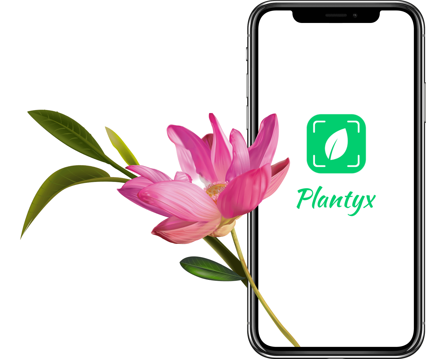 Plant Id App Iphone What Is The Best Plant Identifier App Plant
